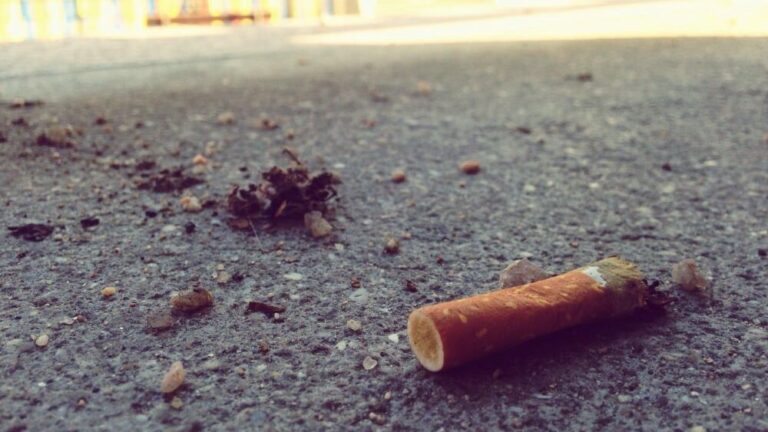 La décomposition des mégots de cigarette - Megot.com